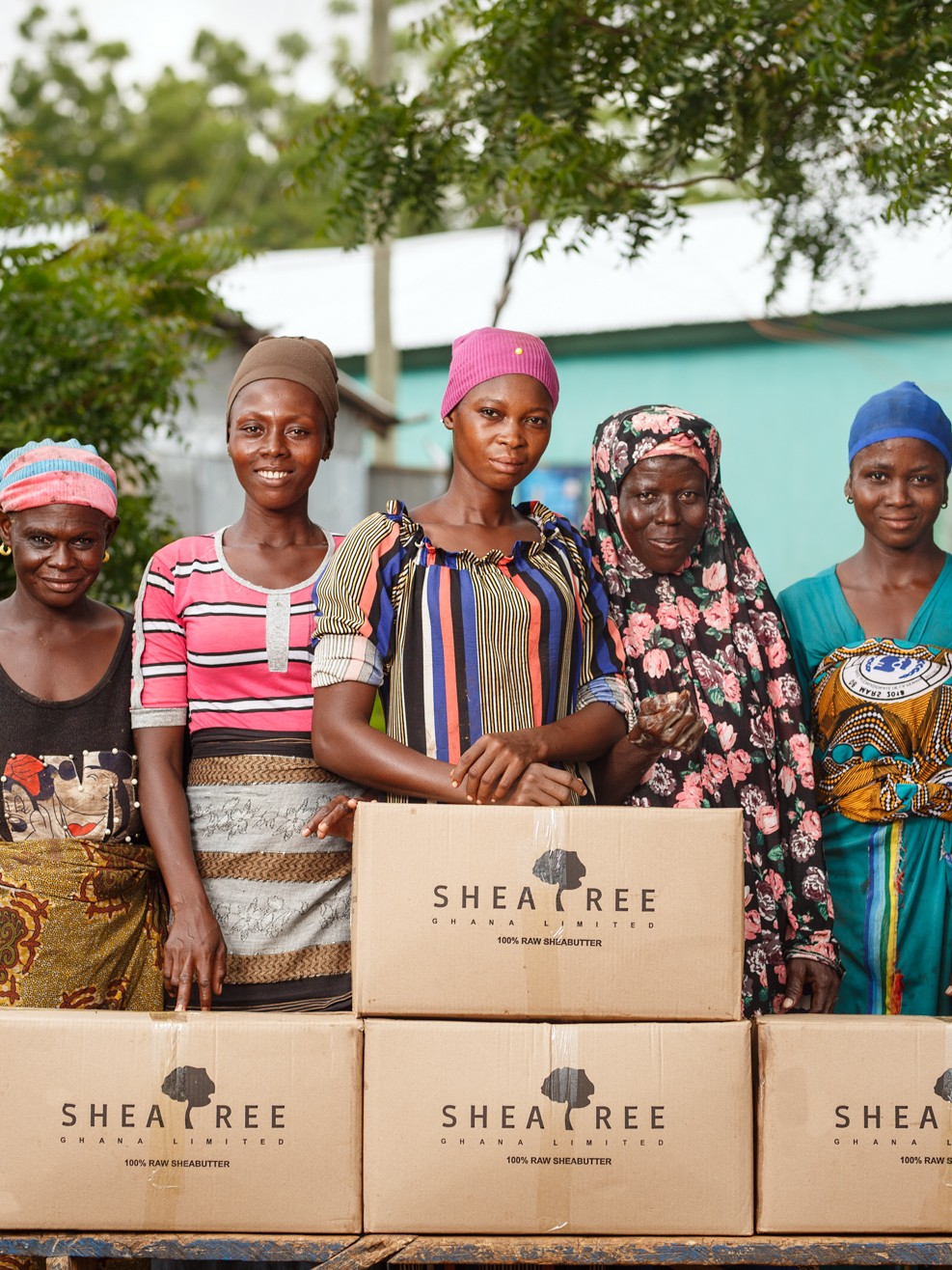 About Us – SheaTree